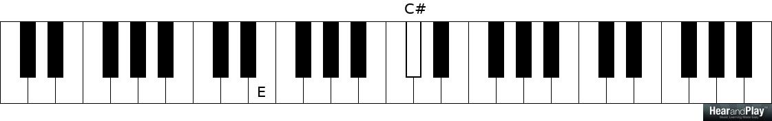 5 Important Contrapuntal Motions Every Classical Musician Must Know ...